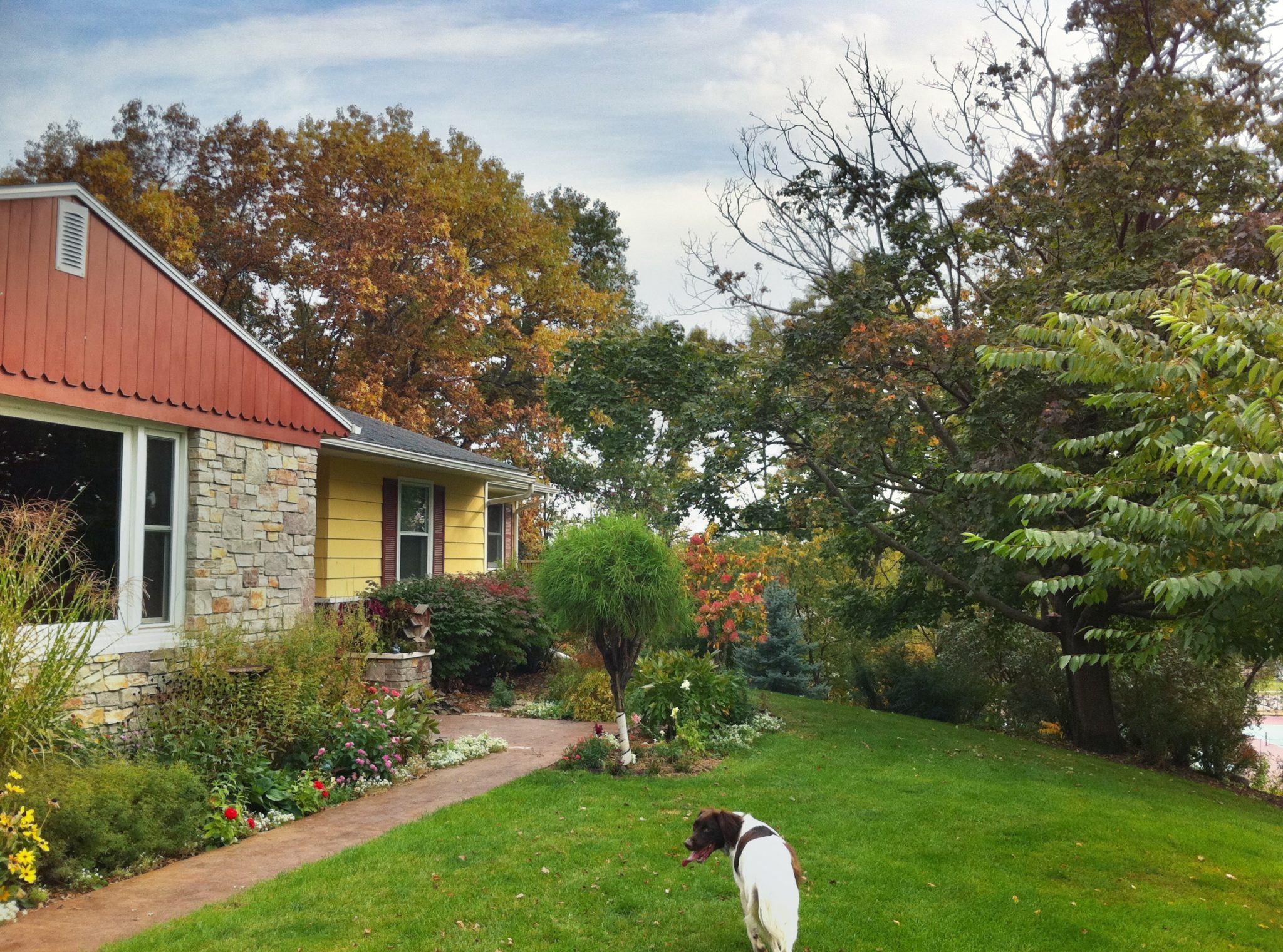 DOS wildcards were more complex than I thought - cjhaas blog